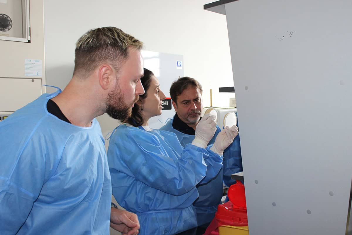International Summer School on Fundamental Phage Research